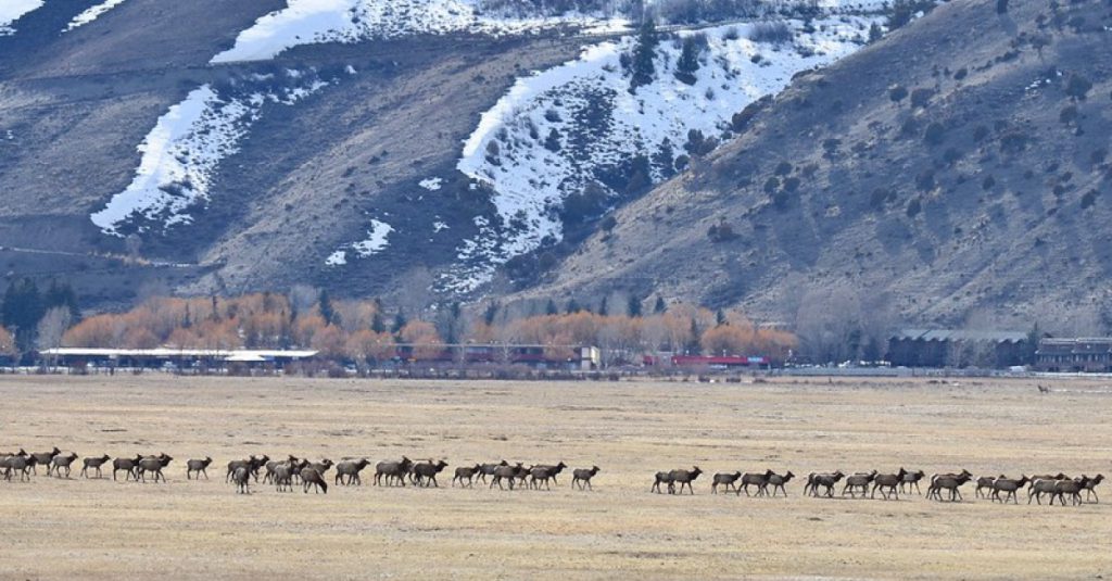 Interior Department Announces New Grants | The Presidential Prayer Team