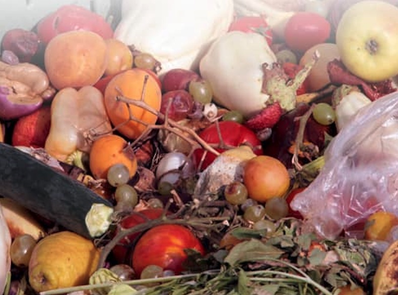 Judge Alice M. Batchelder, Sixth Circuit U.S. Court of Appeals – The ...